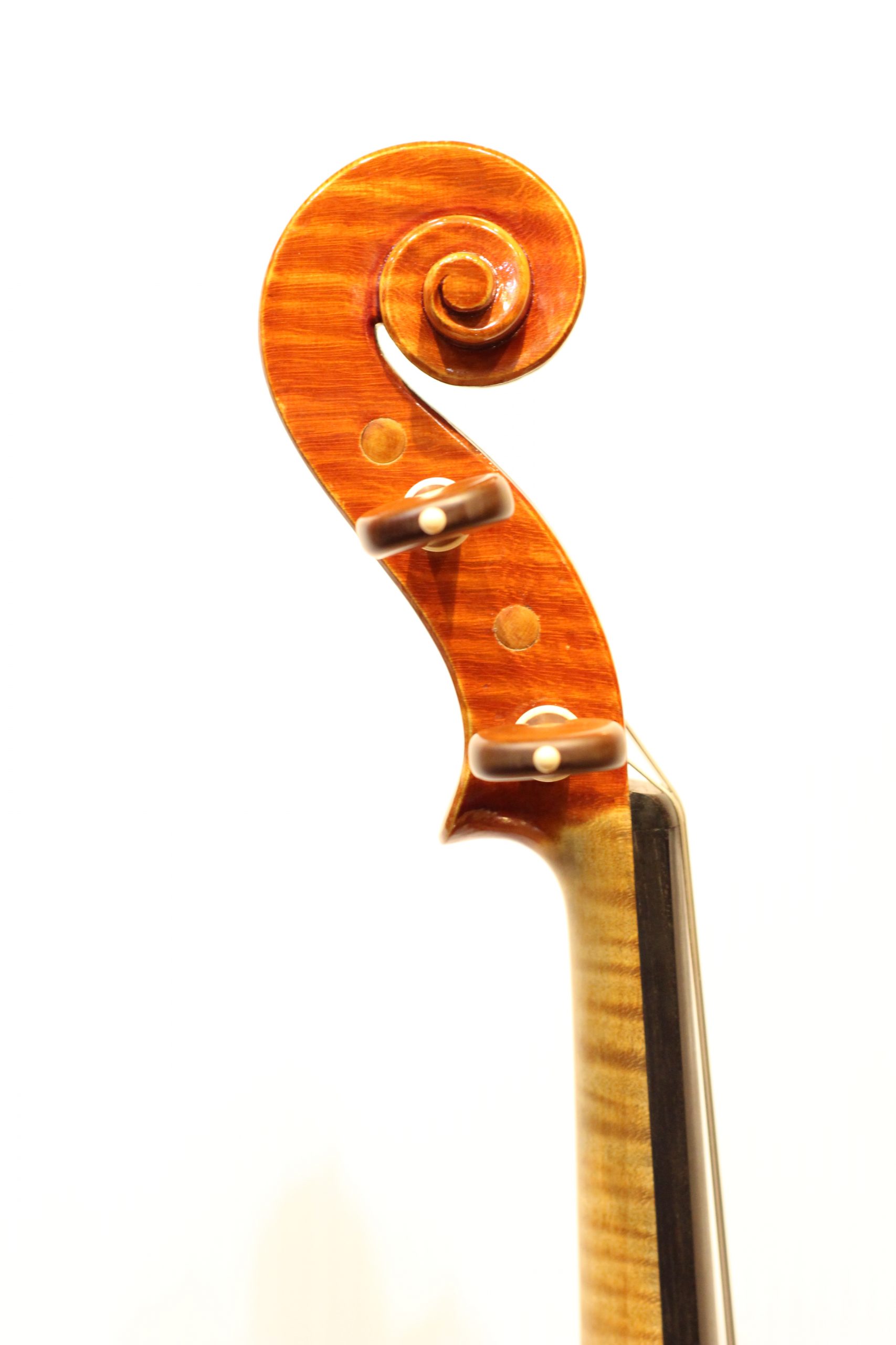 【入荷情報】Gio Batta Morassi Violin,1980(ジオ・バッタ・モラッシ）【大阪梅田店】 – クロサワバイオリン新着情報