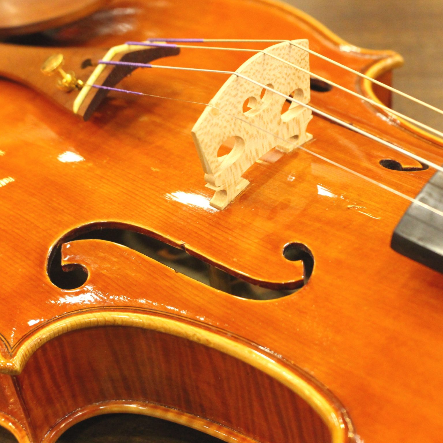 【入荷情報】Gio Batta Morassi Violin,1980(ジオ・バッタ・モラッシ）【大阪梅田店】 – クロサワバイオリン新着情報