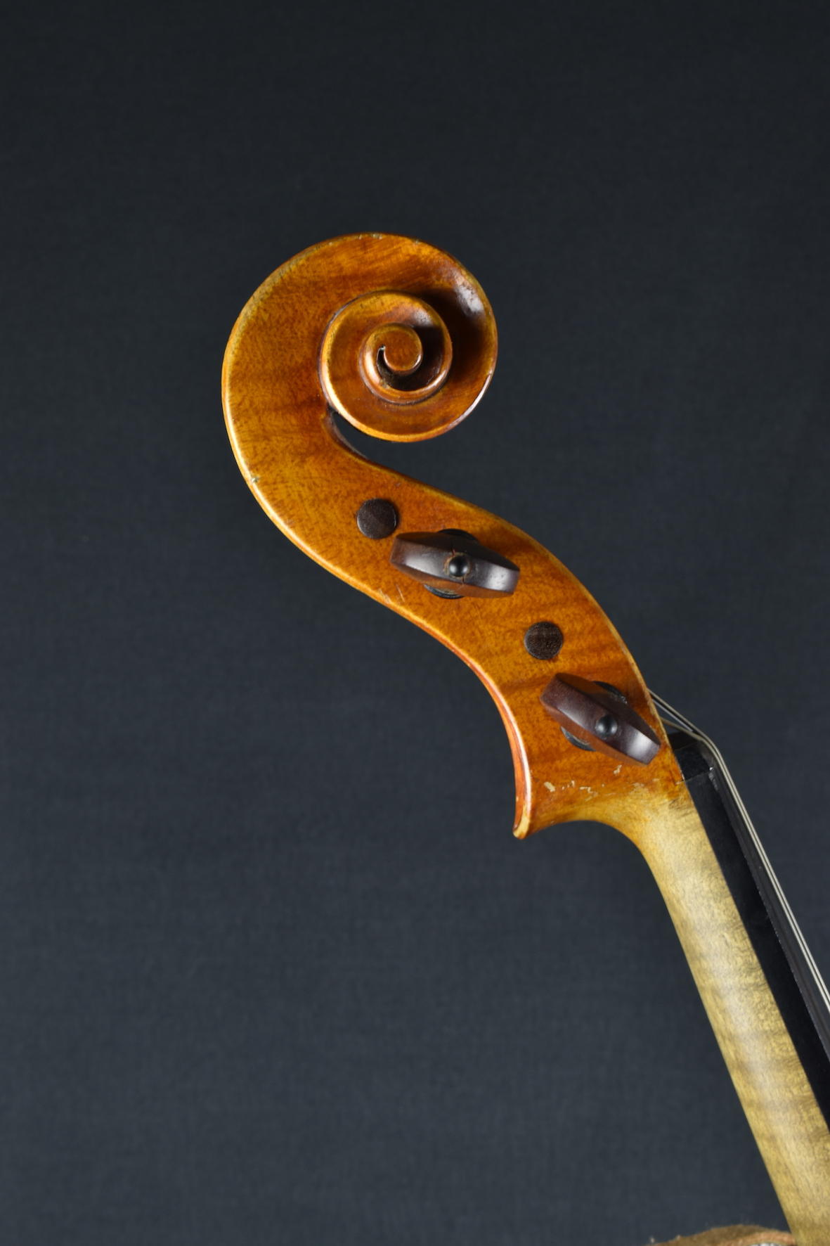 【イタリアンビオラ紹介】Simeone Morassi (シメオネ モラッシ) 1988年製 Viola 40.5cm【お茶の水店 ...