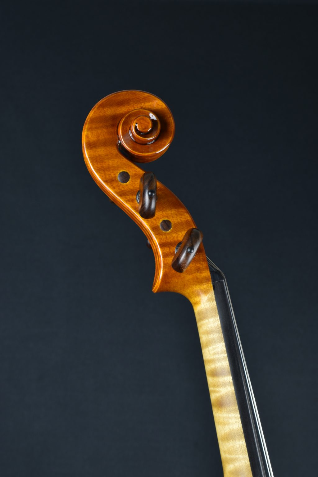 イタリアンバイオリン作品紹介 「Giovanni Battista Morassi Violin 2022年製」【お茶の水店】 – クロサワ ...