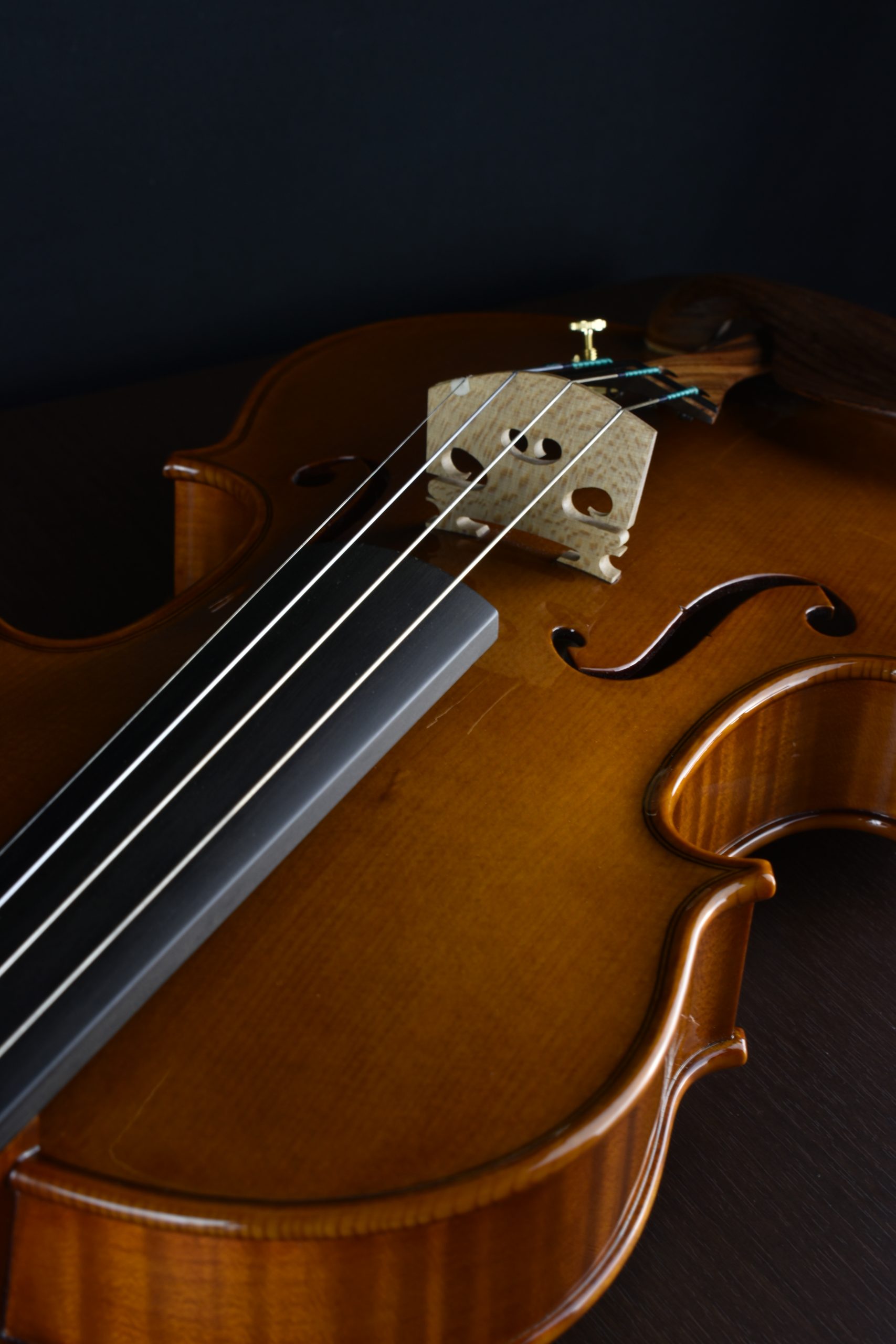 イタリアンバイオリン作品紹介 「Giovanni Battista Morassi Violin 2022年製」【お茶の水店】 – クロサワ ...