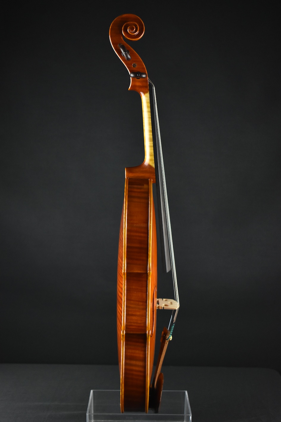 今注目のバイオリン製作者 Giulio Morassi氏お茶の水店カスタムオーダーバイオリン紹介 – クロサワバイオリン新着情報